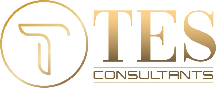 TES Consultants - Protection From Evolving Cybersecurity Threats